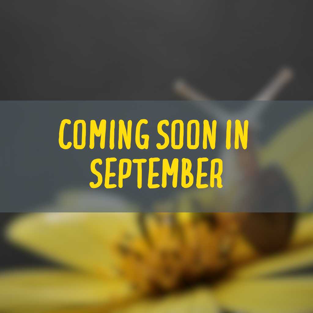 Piccoli mitigatori di grandi rischi - GBSAPRI